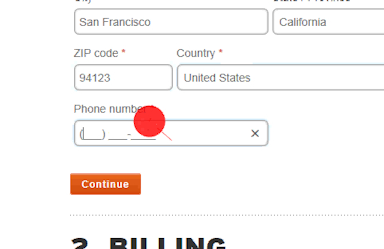 Consider Using Localized Input Masks for ‘Phone’ and Other Restricted Inputs (64% Aren’t Taking ...